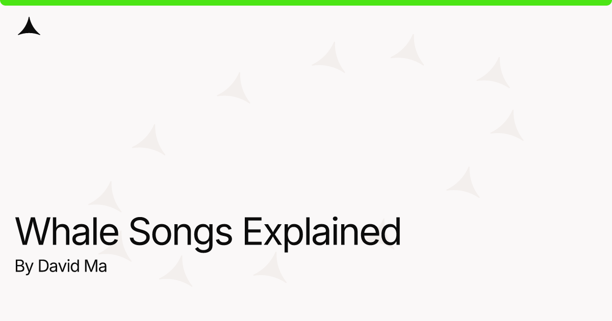 Whale Songs Explained